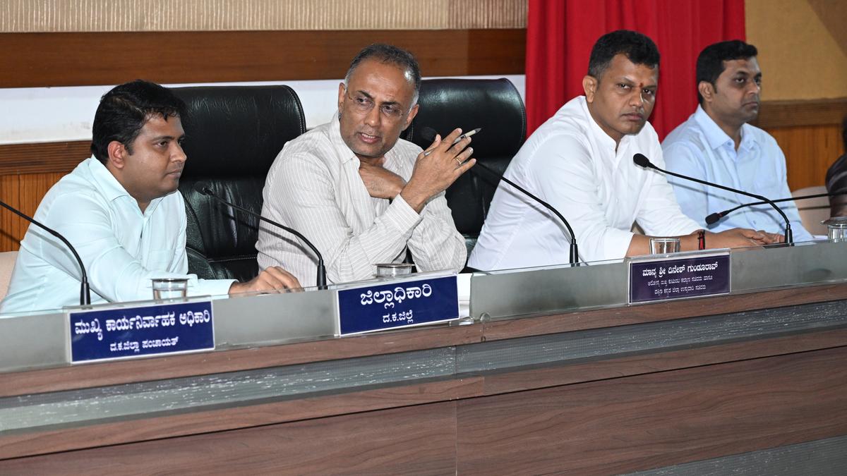 Minister directs NHAI to maintain highway stretches in Dakshina Kannada district - The Hindu